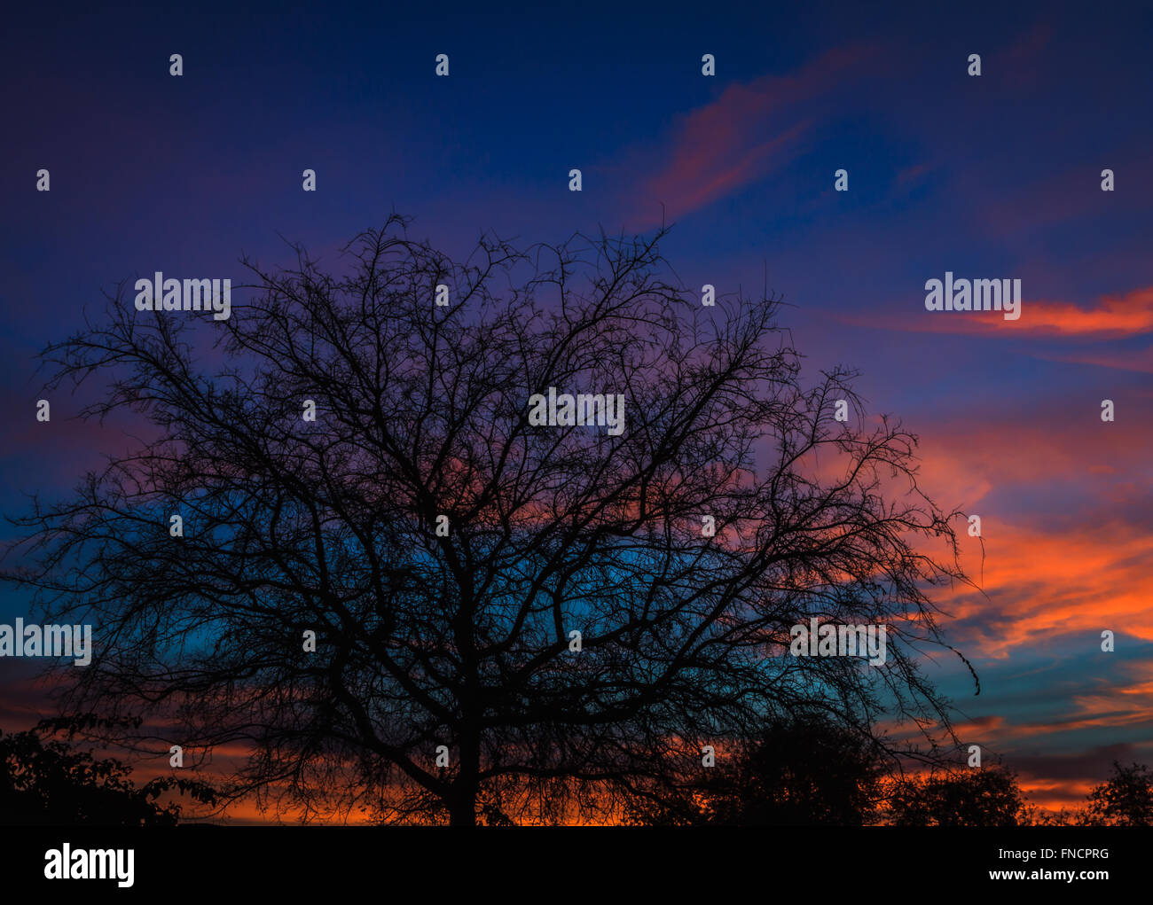 American desert landscape Stock Photo - Alamy