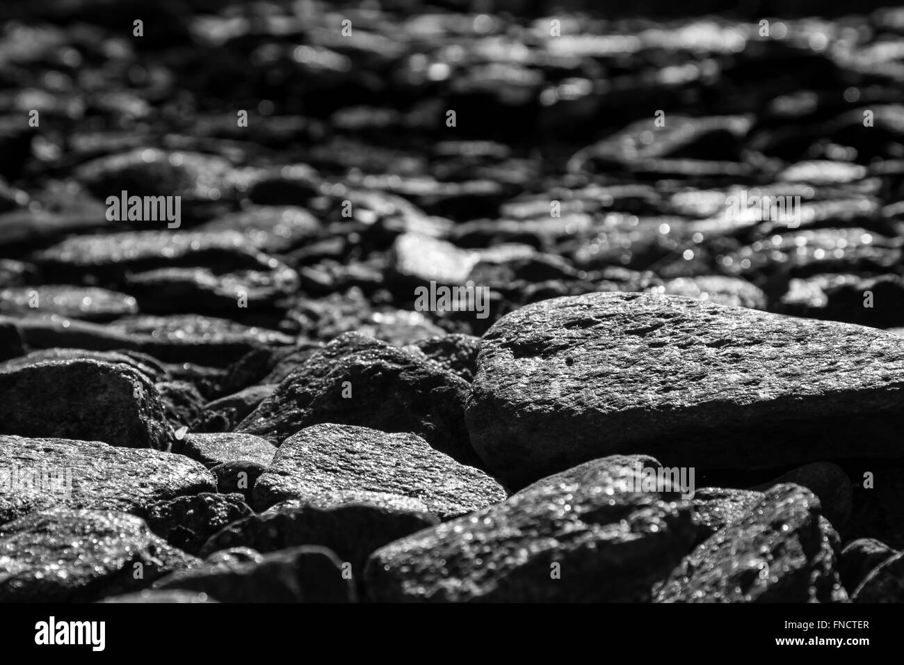 American desert landscape Stock Photo - Alamy