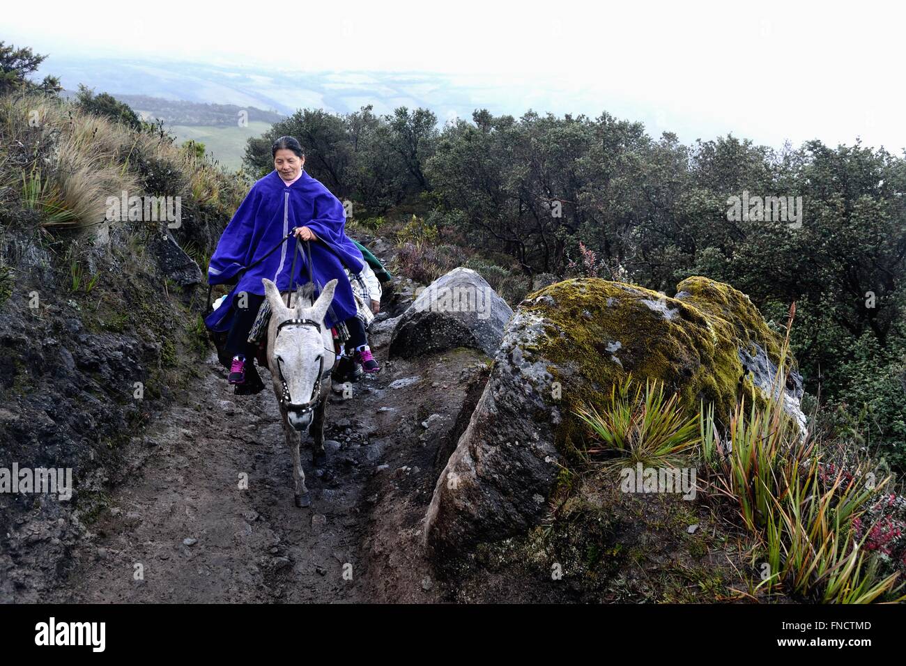Way to Laguna Negra " Las Huaringas " in HUANCABAMBA. Department of ...