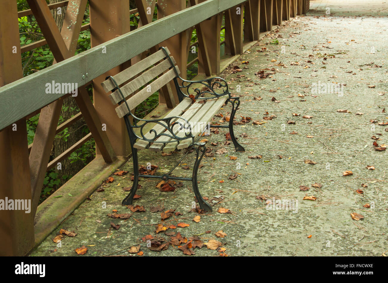 Park bench in the fall Stock Photo - Alamy