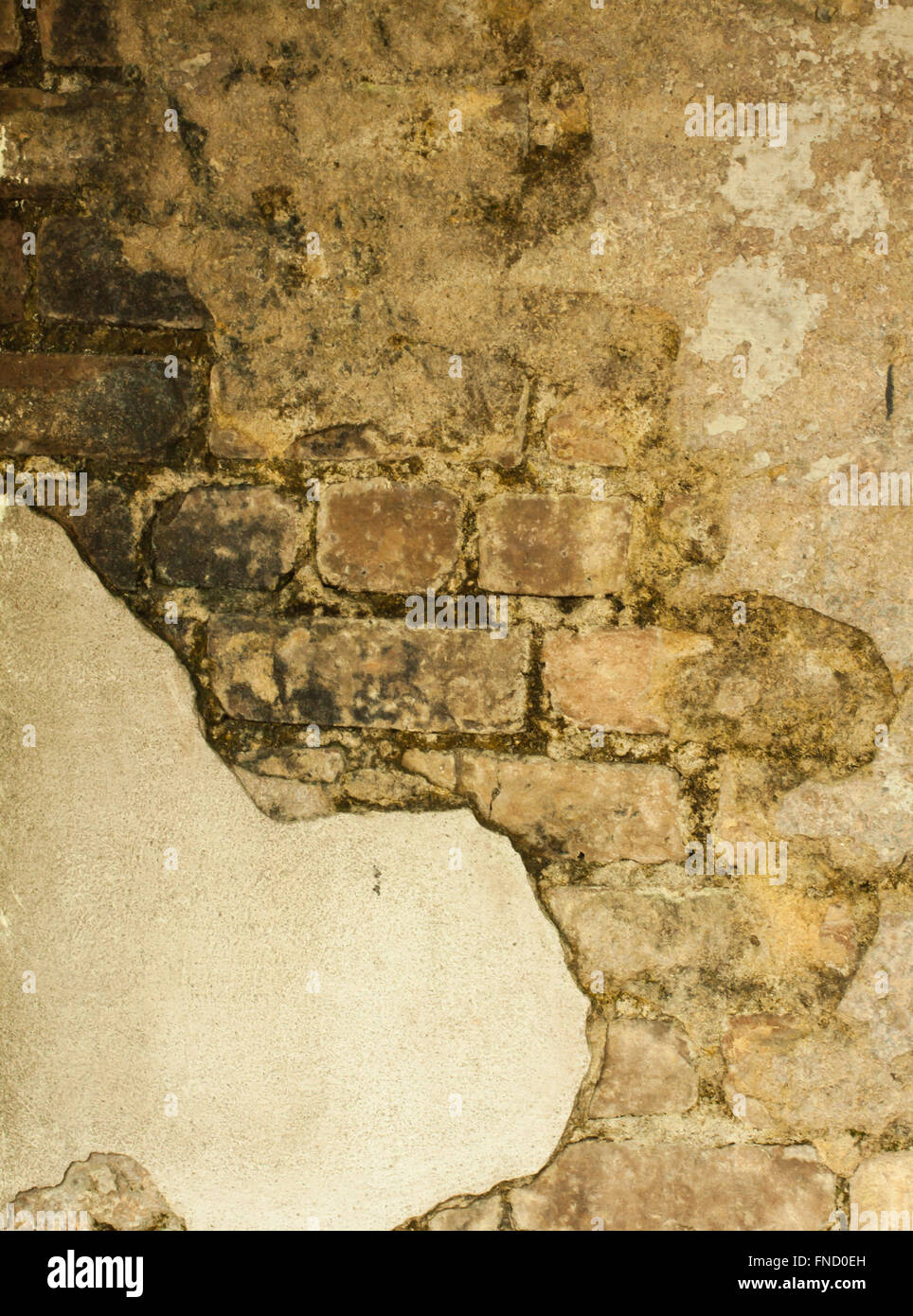 tan plaster over brick decaying Stock Photo - Alamy