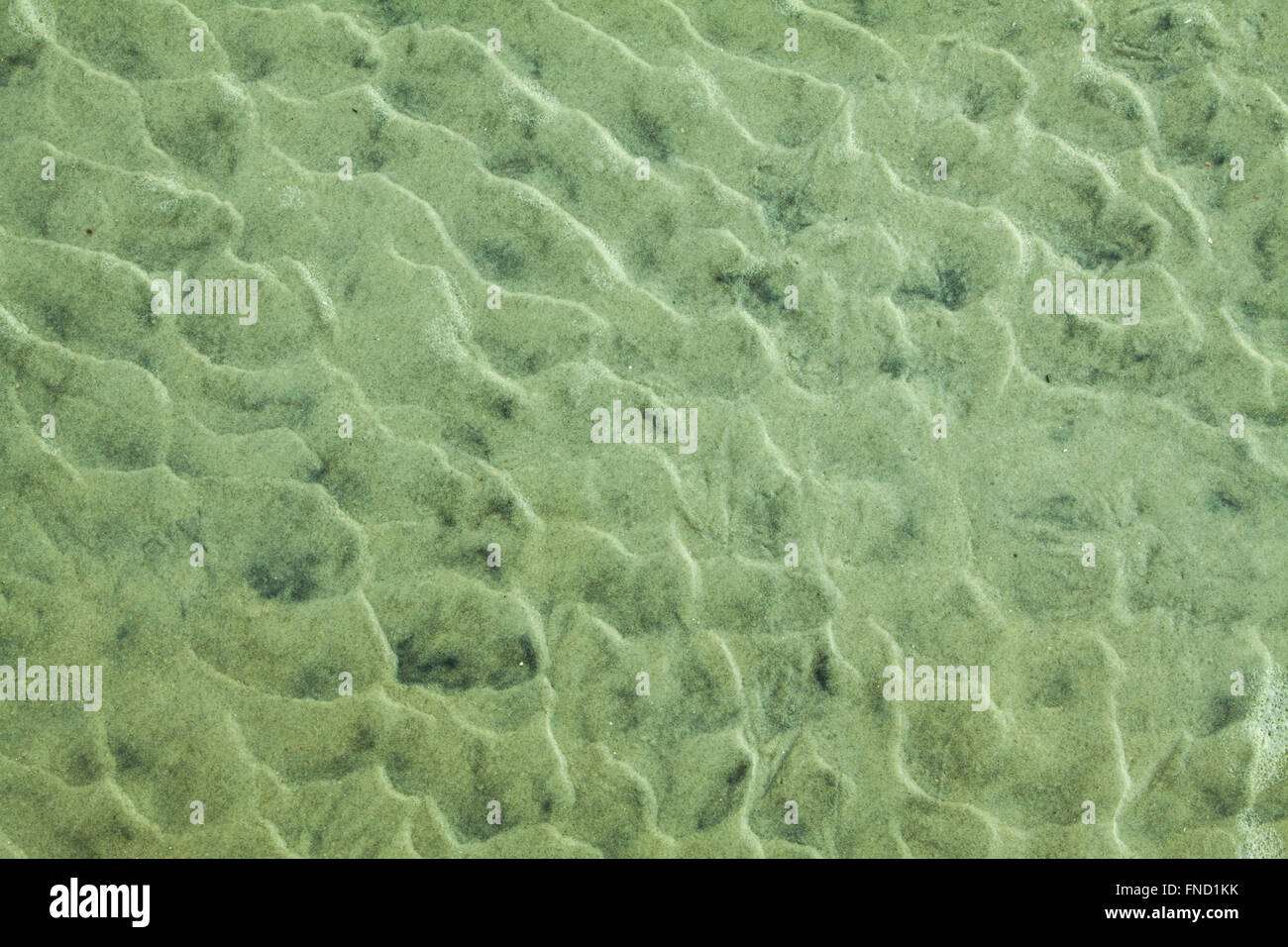 natural repeating patterns in sand Stock Photo - Alamy