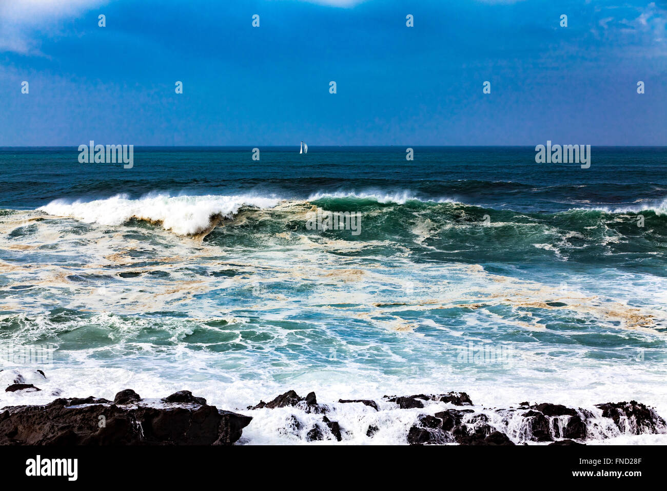 Windblownwild hi-res stock photography and images - Alamy