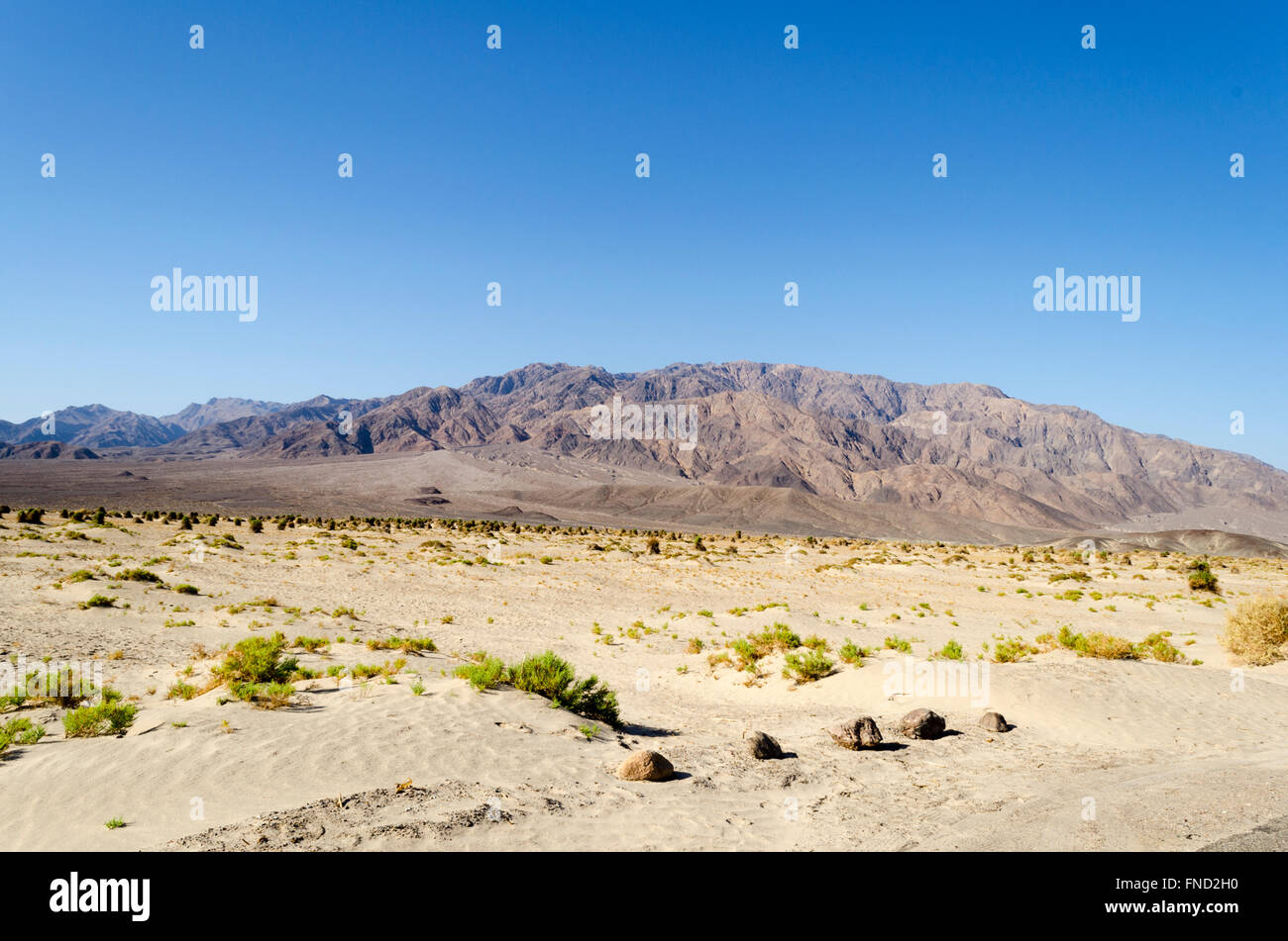 Small sand dunes, rocks and green vegetation with brown barren ...