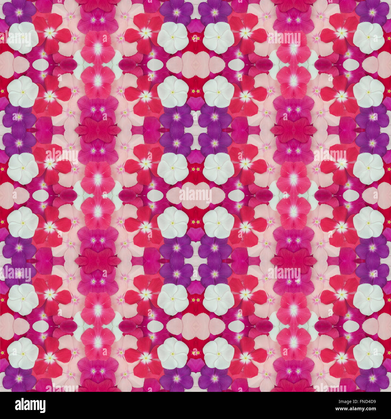 periwinkle seamless pattern background Stock Photo - Alamy