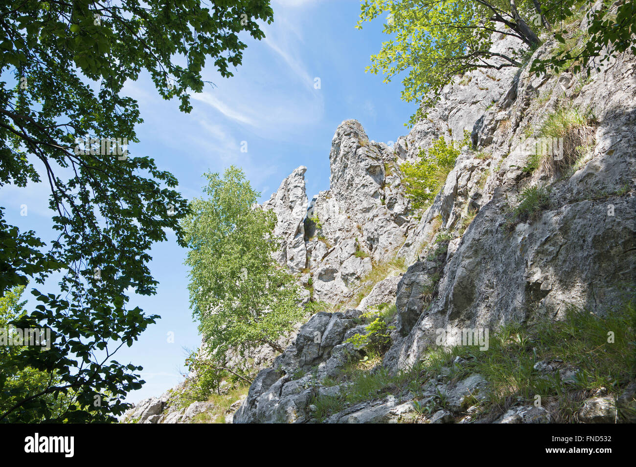 Carpathian hi-res stock photography and images - Alamy