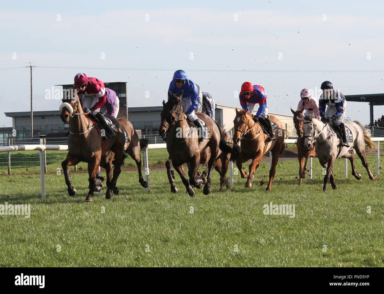 Horse racing at Down Royal, Lisburn Northern Ireland Stock Photo - Alamy