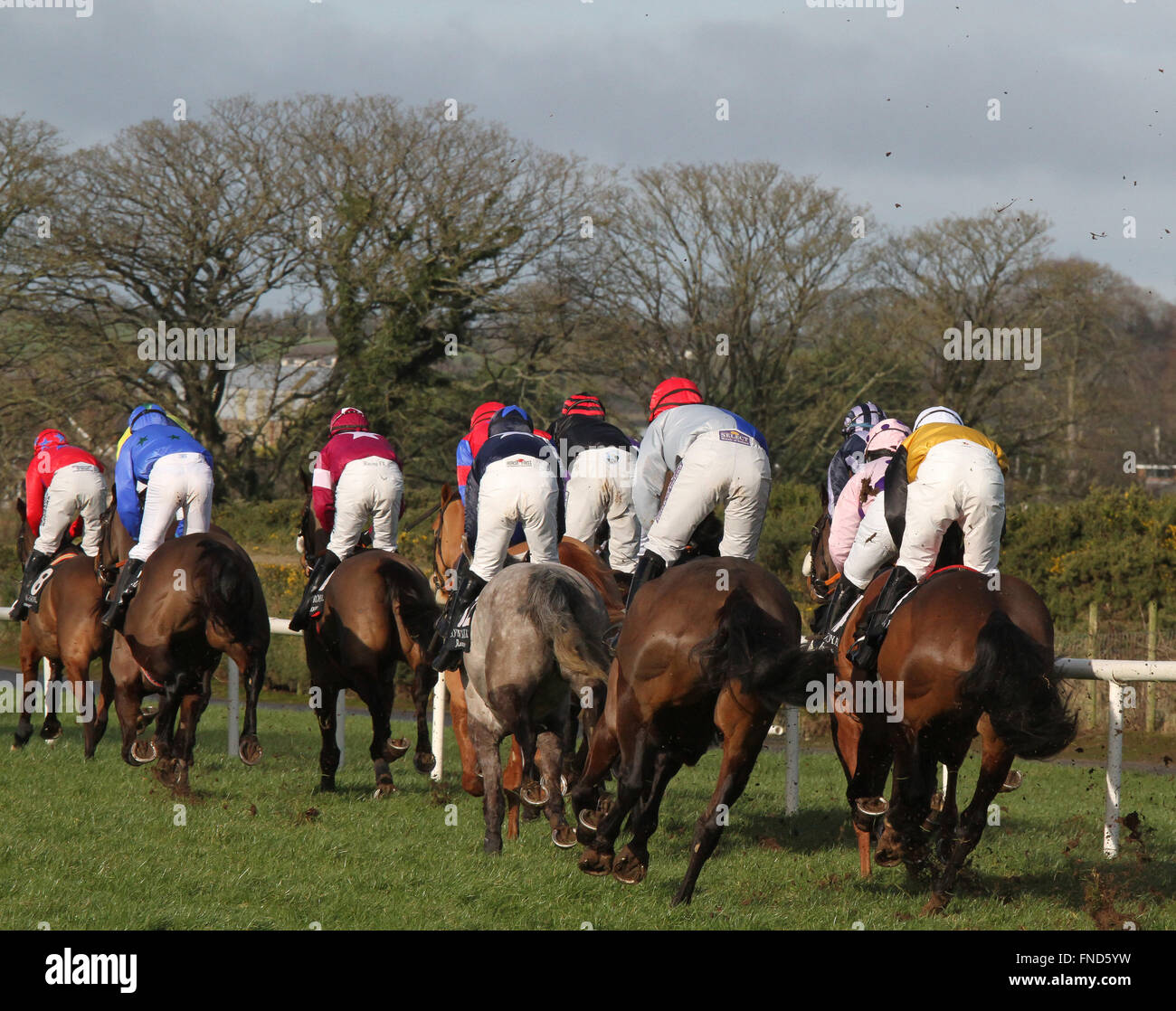 Horse Racing Track, Uk Stock Photos & Horse Racing Track, Uk Stock ...