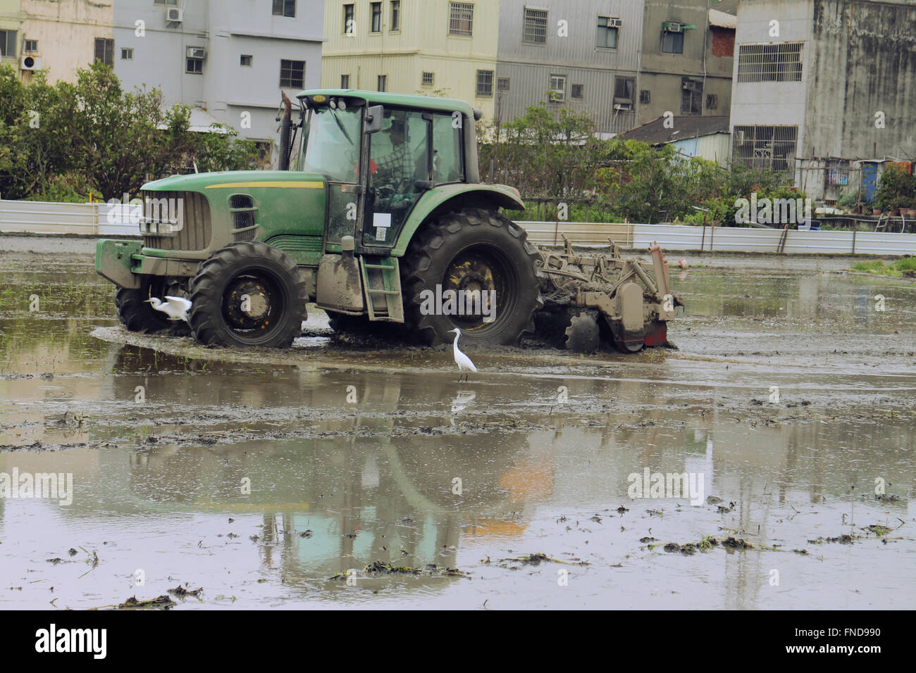 Rice planting machine hi-res stock photography and images - Alamy