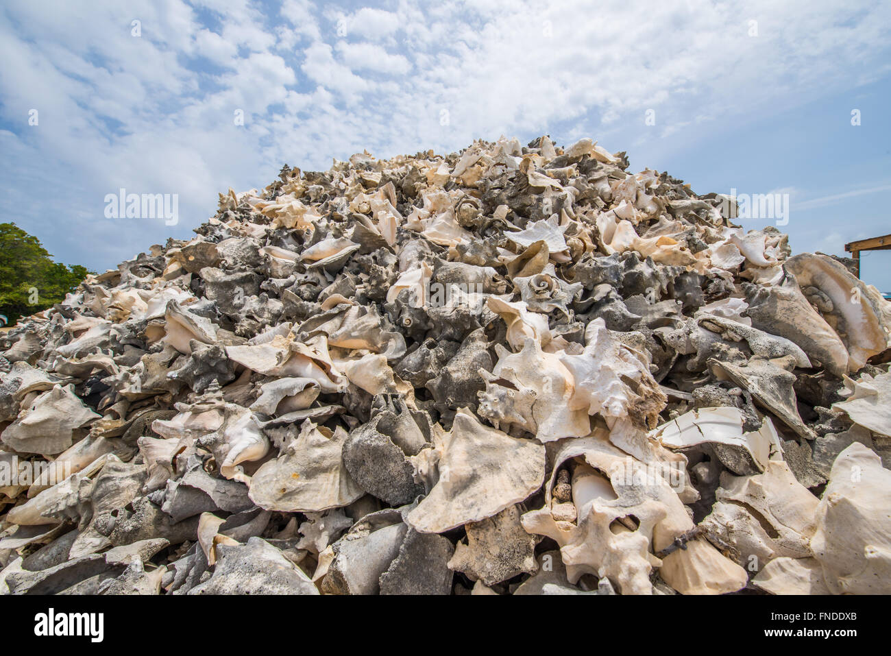 Mountains of karko shells hi-res stock photography and images - Alamy