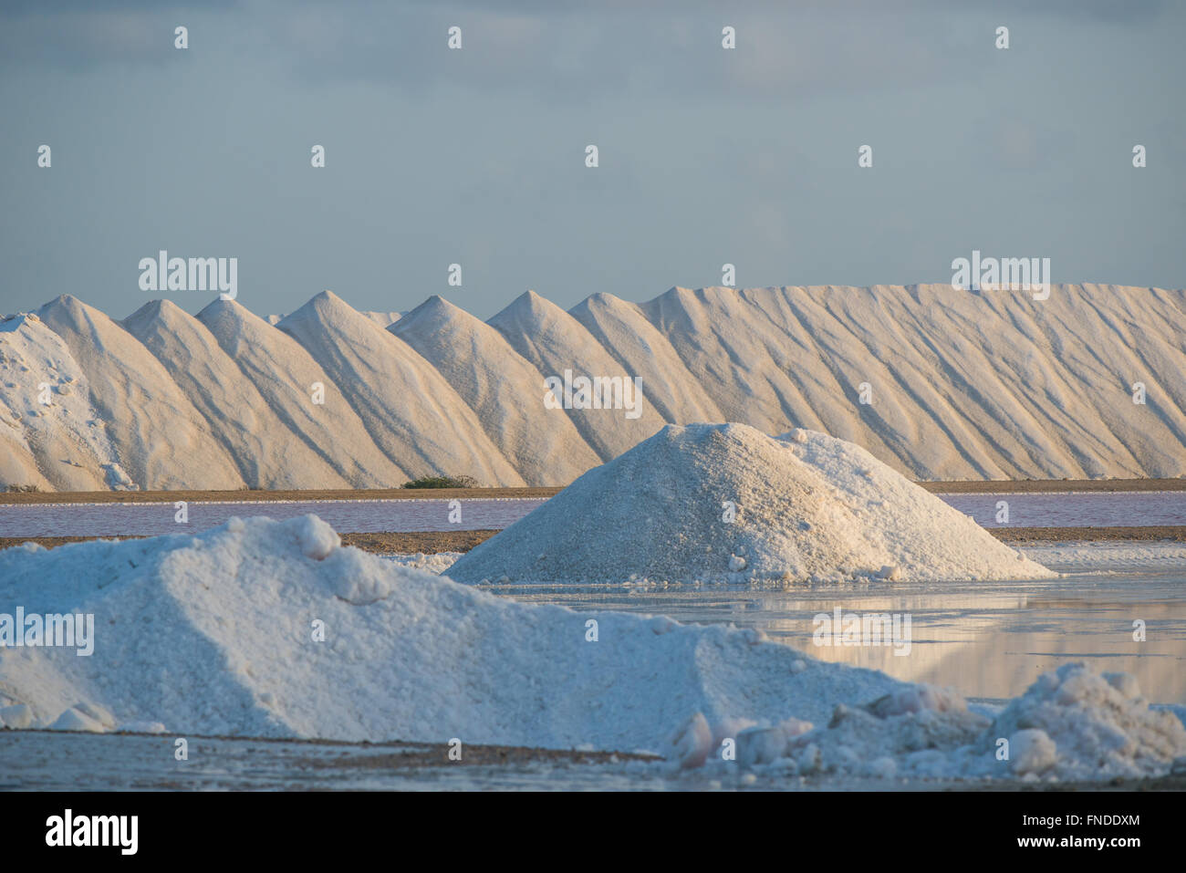 Beautiful impressive salt fields and salt mountains in Bonaire. Here ...