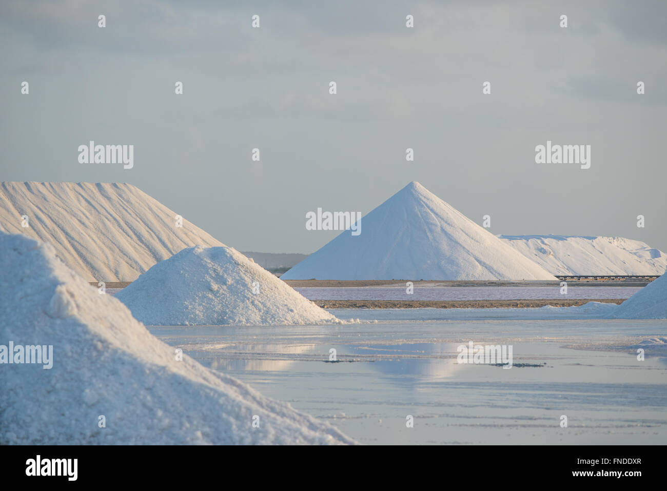 Beautiful impressive salt fields and salt mountains in Bonaire. Here ...