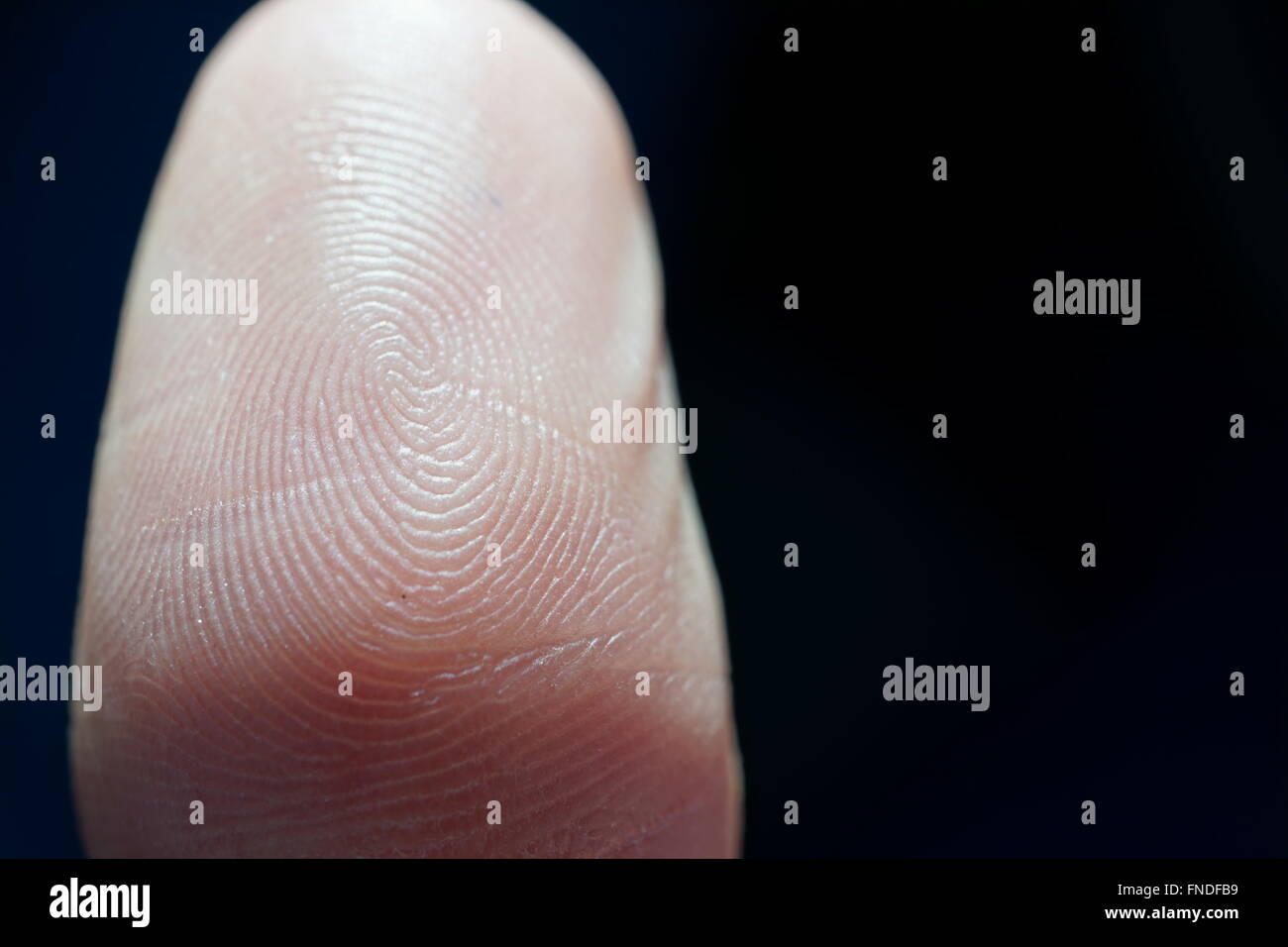 Closeup of a thumb Stock Photo - Alamy
