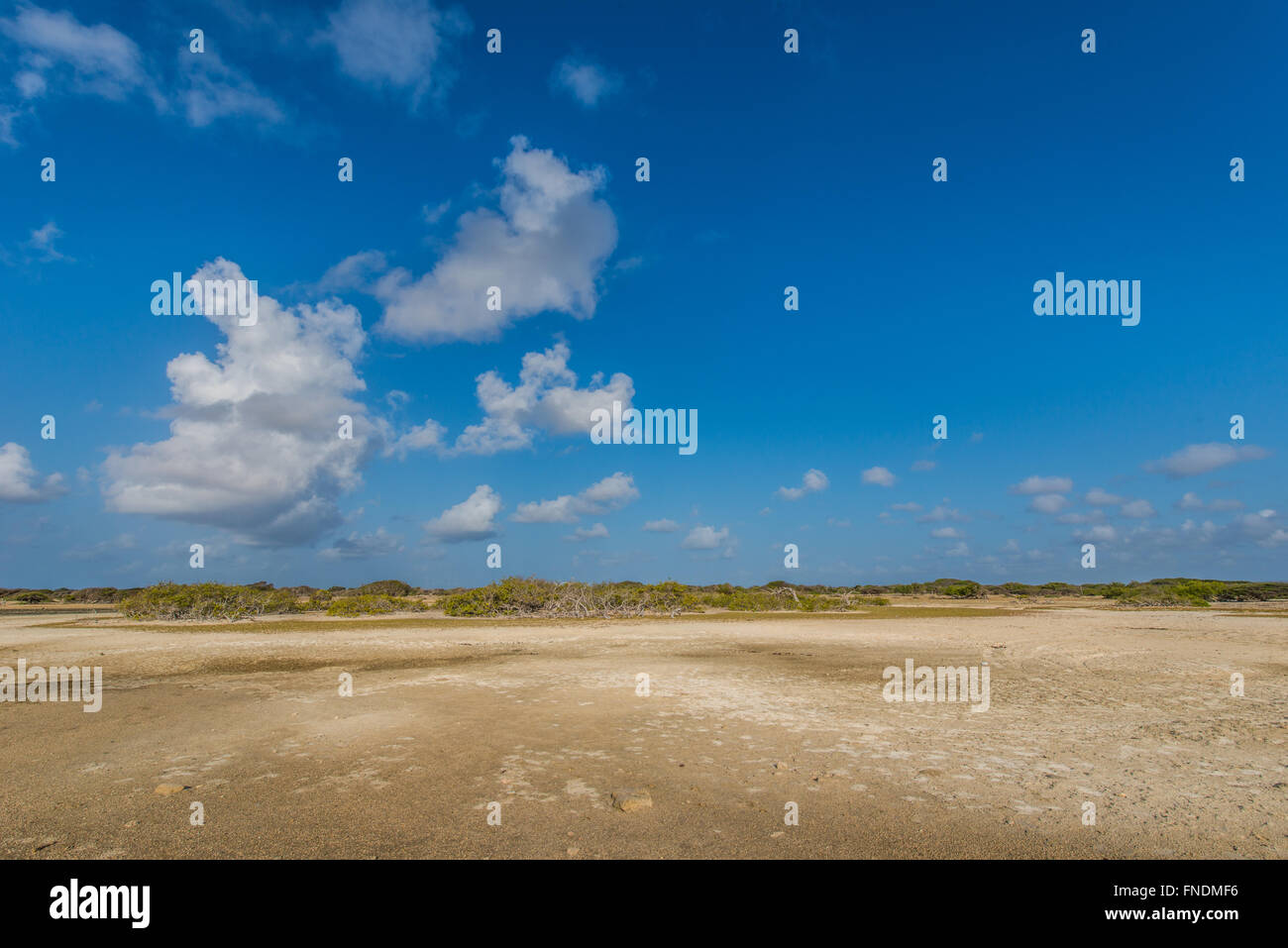 Beautiful but dangerous landscape of quicksand on the island Bonaire ...