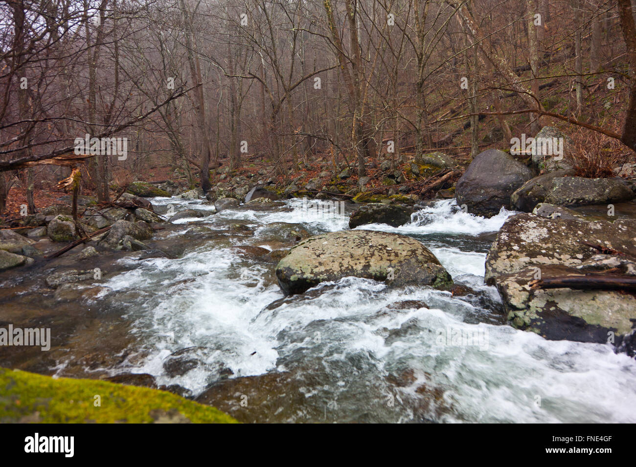Rapids of a river in the Blue Ridge mountains Stock Photo - Alamy