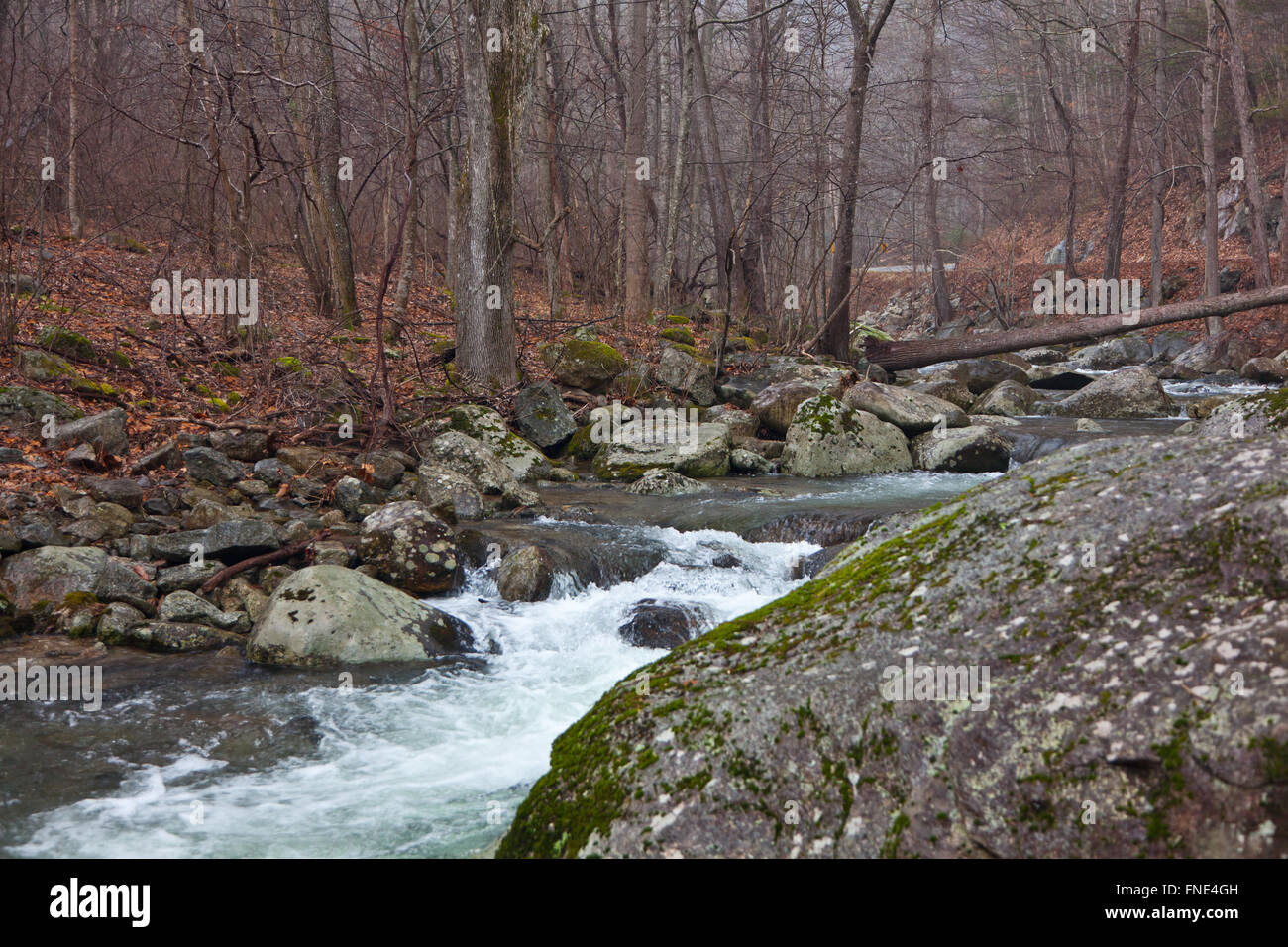 Rapids of a river in the Blue Ridge mountains Stock Photo - Alamy