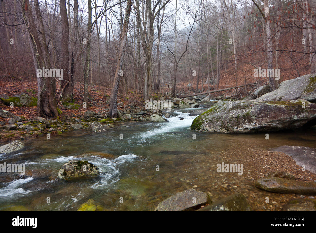 Rapids of a river in the Blue Ridge mountains Stock Photo - Alamy