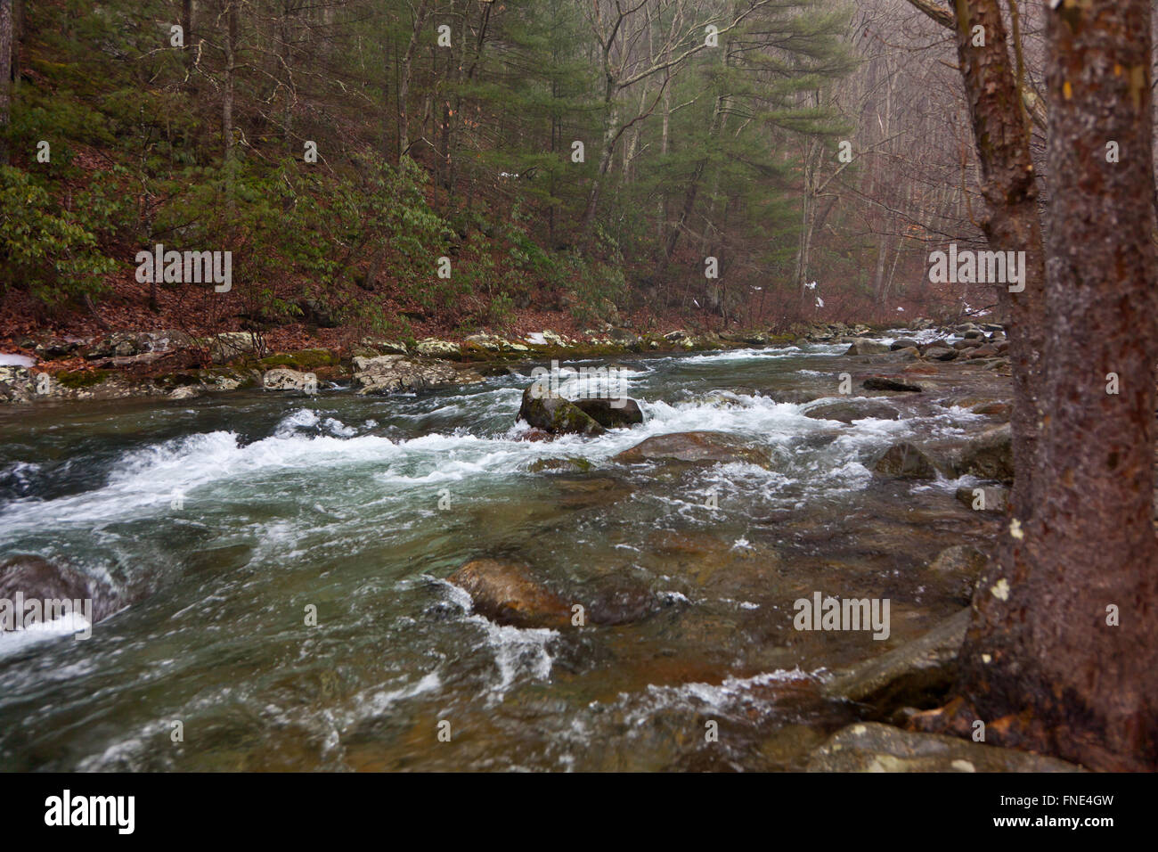 Rapids of a river in the Blue Ridge mountains Stock Photo - Alamy