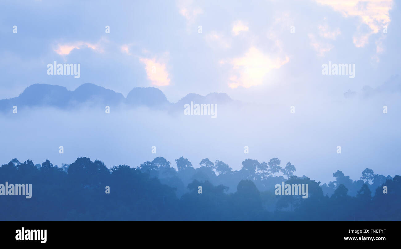Navy blue forest background covered by fog with cloudy sky and sunrise ...