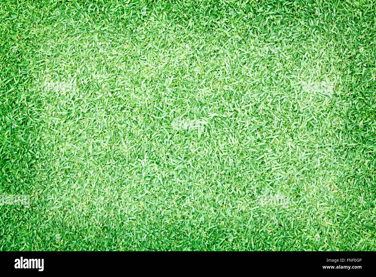 Golf Courses green lawn pattern textured background Stock Photo - Alamy
