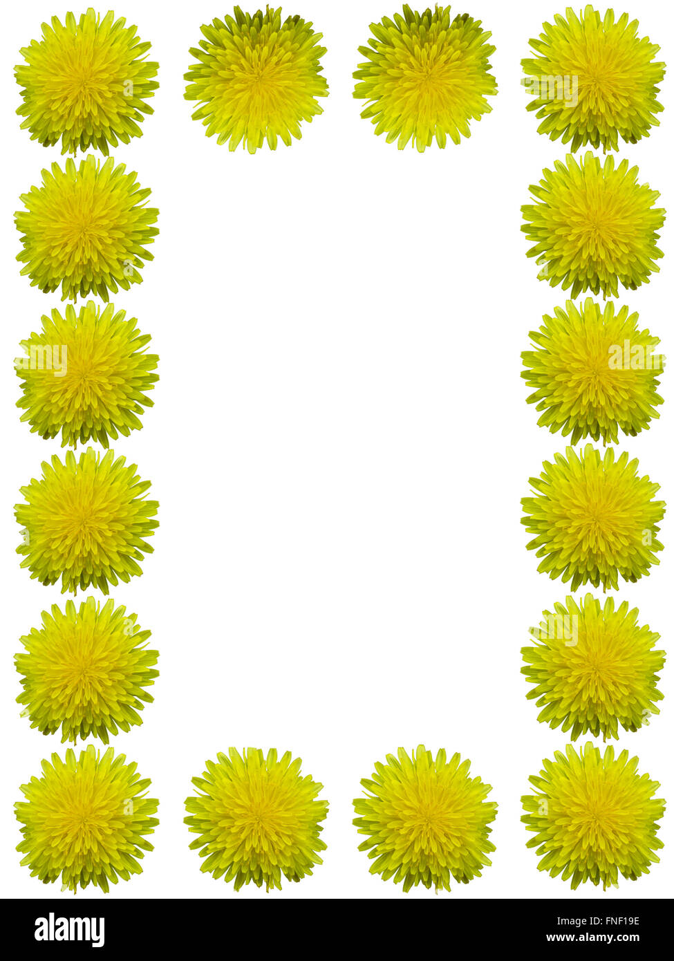 Frame flowers on yellow Cut Out Stock Images & Pictures - Alamy