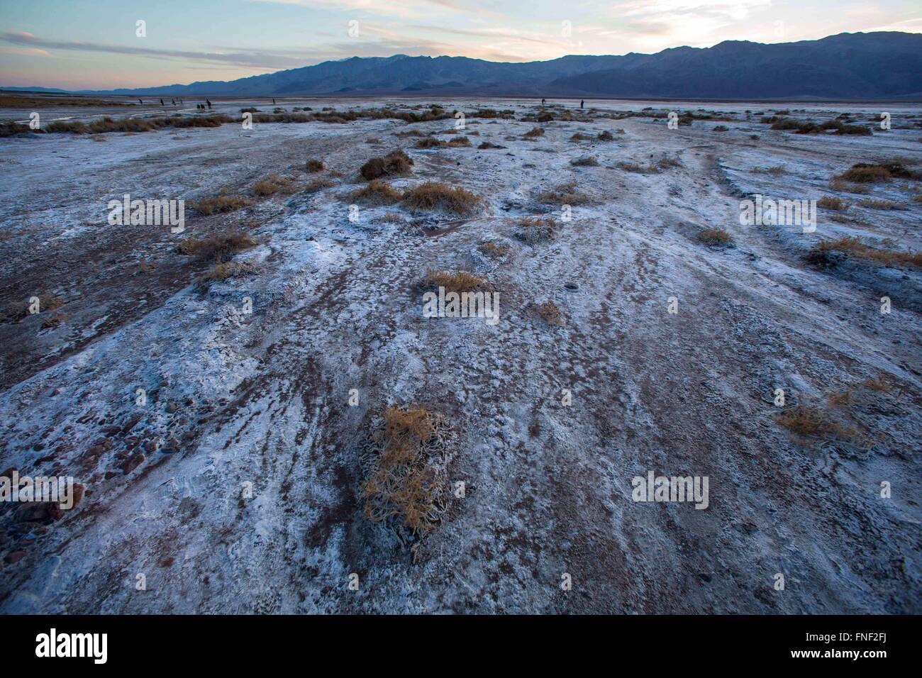 Death Valley, California, USA. 12th Mar, 2016. Cotton Ball Basin salt ...