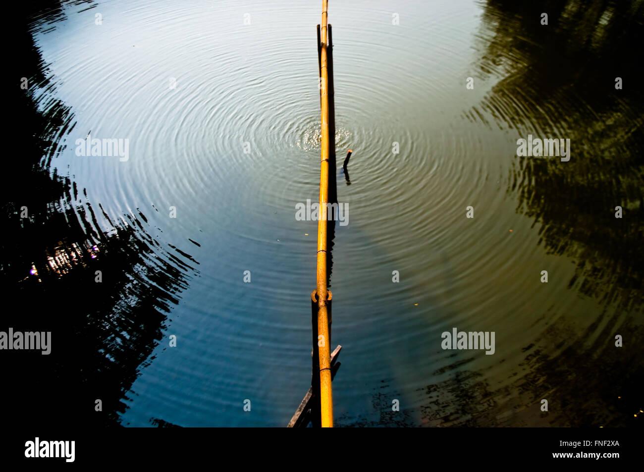 Continuous circular ripples on a lake caused by water drops from a ...