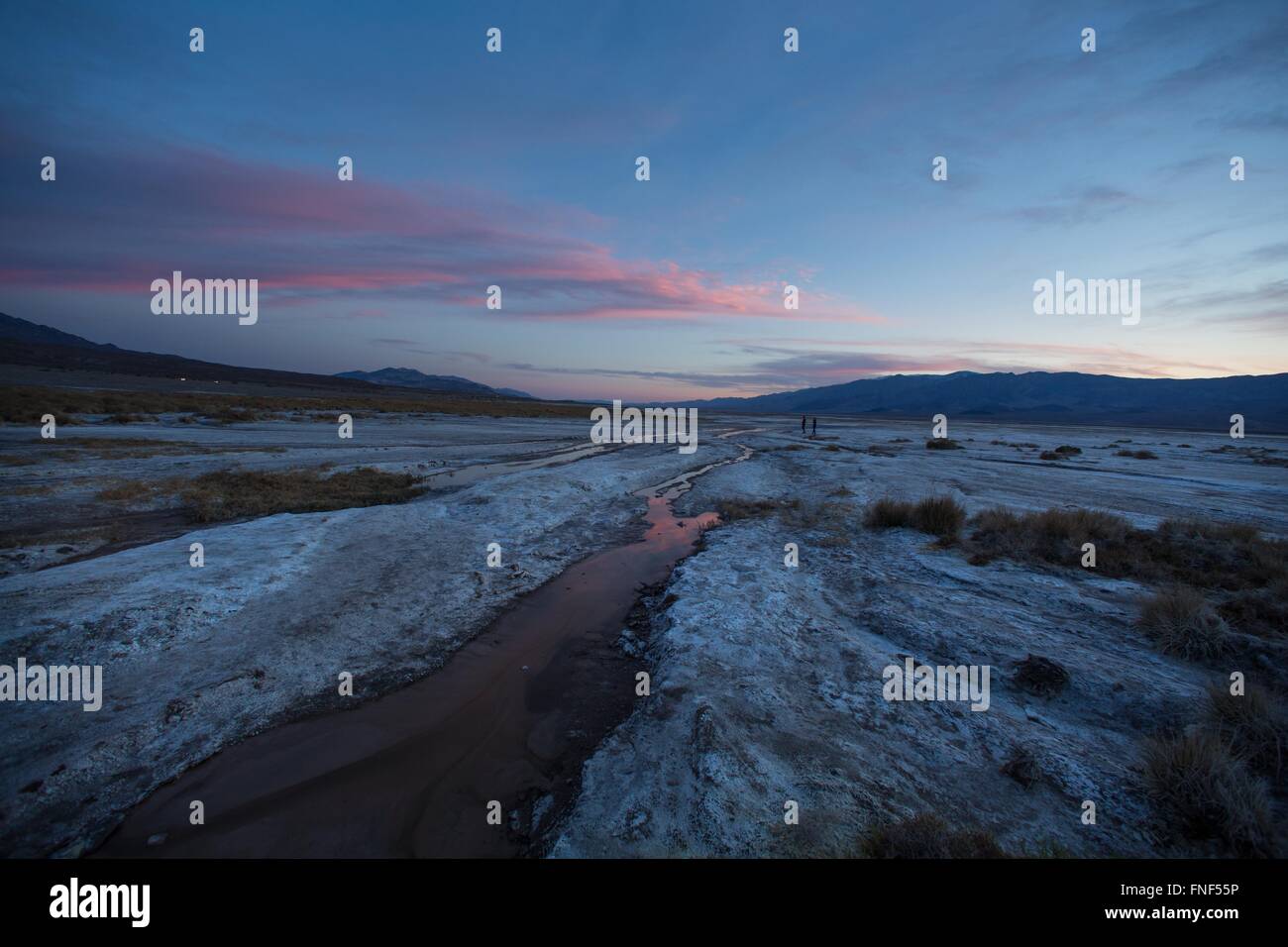 Cotton ball basin hi-res stock photography and images - Alamy