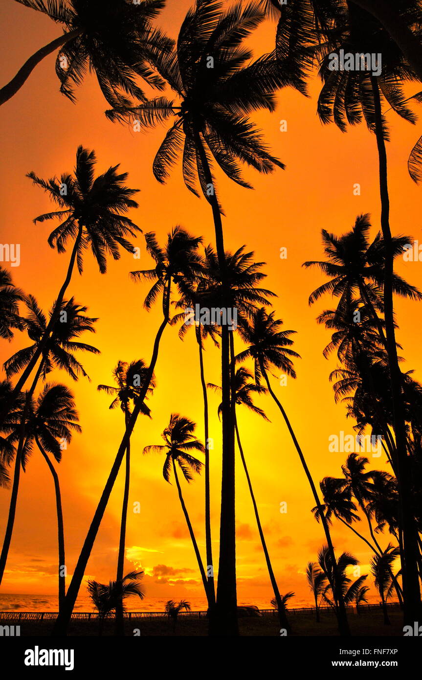 Wadduwa beach hi-res stock photography and images - Alamy