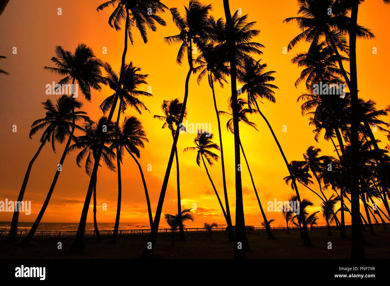 Wadduwa Beach High Resolution Stock Photography and Images - Alamy