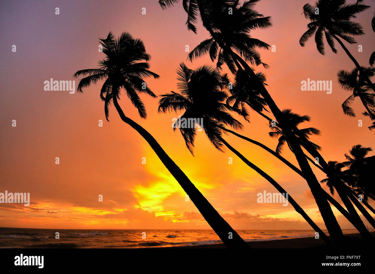 Wadduwa Beach High Resolution Stock Photography and Images - Alamy