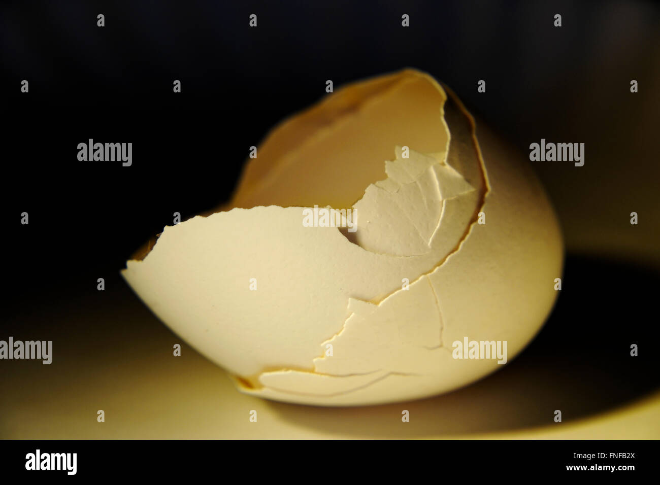 White cracked texture egg hi-res stock photography and images - Alamy