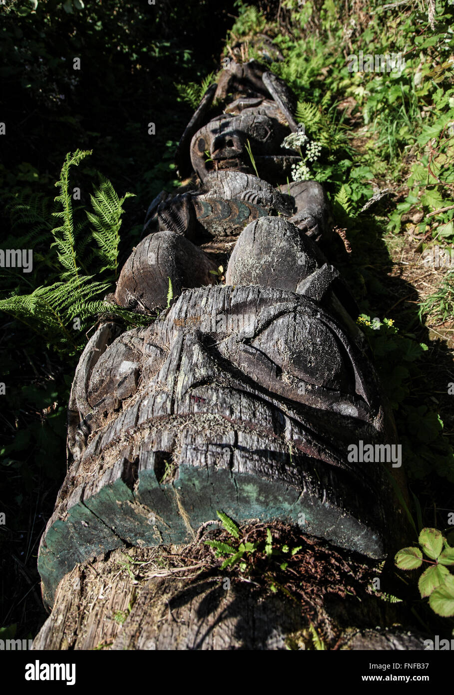 Fallen Totem Pole, Yuquot BC Stock Photo - Alamy