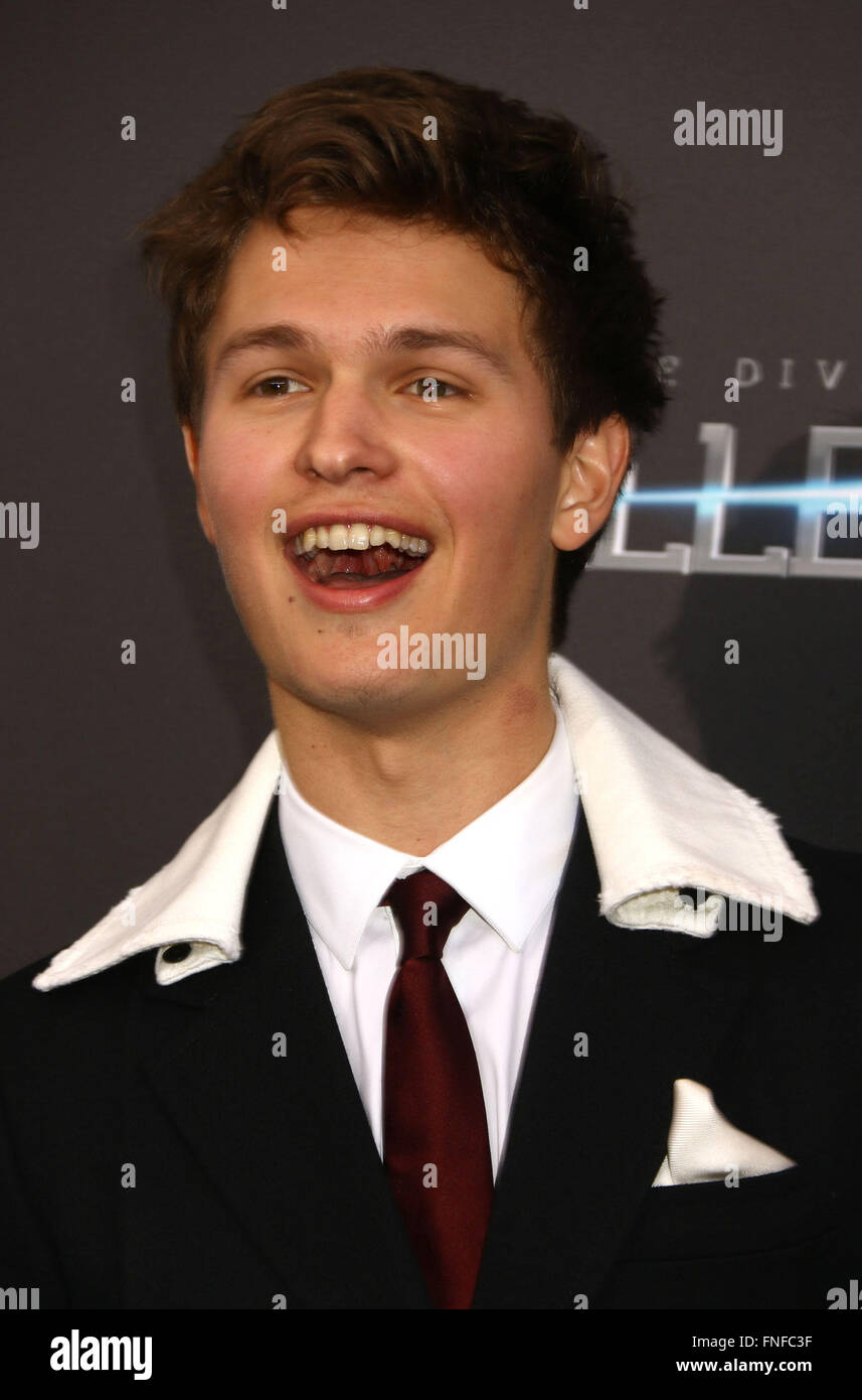 New York, USA. 14th Mar, 2016. Actor ANSEL ELGORT attends the World ...