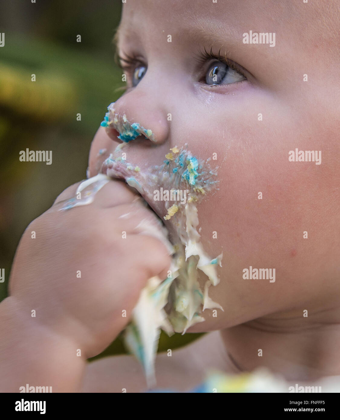 Placentia, California, USA. 14th Mar, 2016. Number 1 in a series of 18 ...