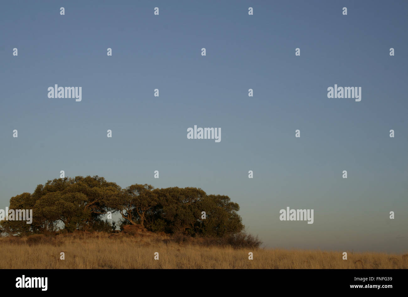 Freestate hi-res stock photography and images - Alamy