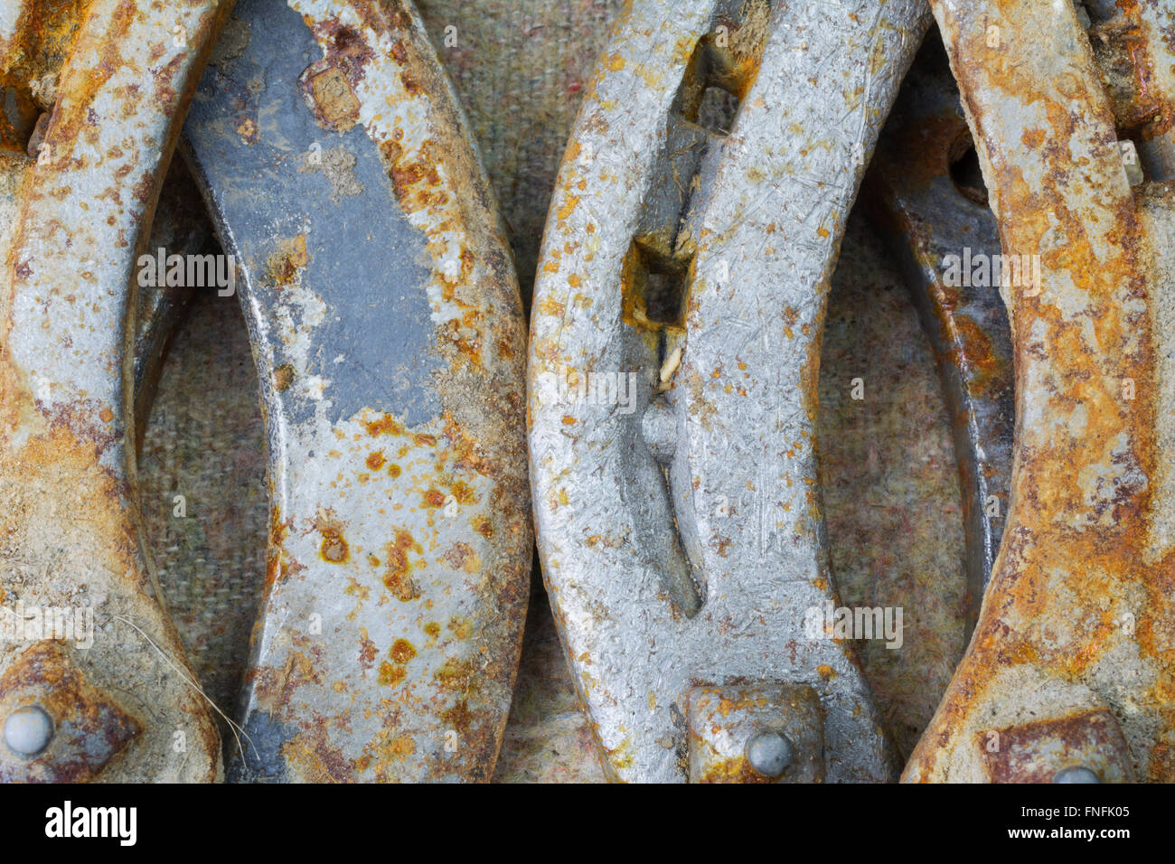 Iron Horseshoes High Resolution Stock Photography and Images - Alamy