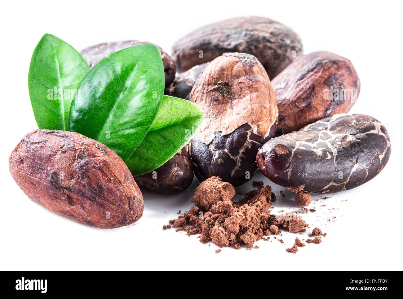 Cocoa beans isolated on a white background Stock Photo - Alamy