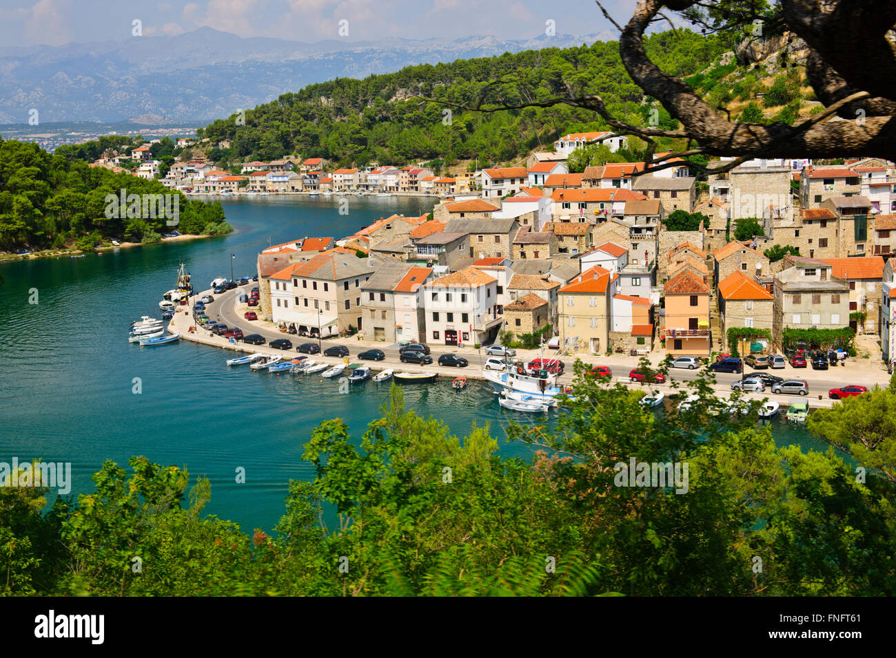 Novigrad town,Castle,Towering Zrmanja Gorge,Dolphins,reed beds,Karst ...