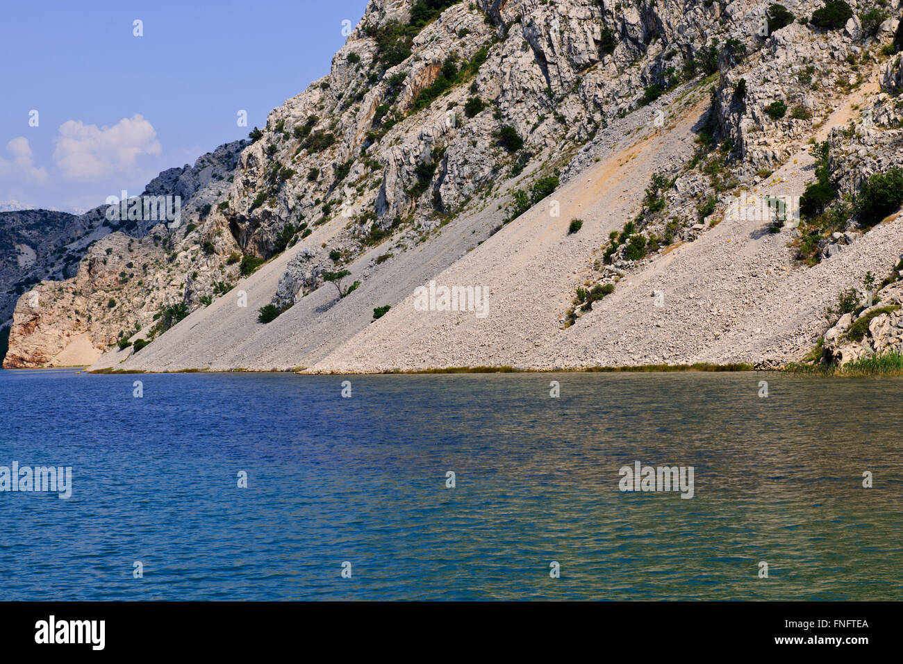 Novigrad town,Castle,Towering Zrmanja Gorge,Dolphins,reed beds,Karst ...