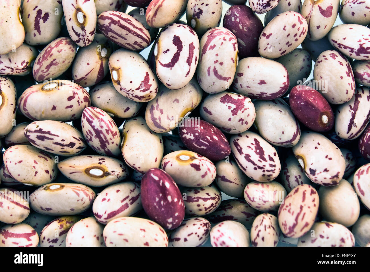 Cranberry beans as background Stock Photo - Alamy