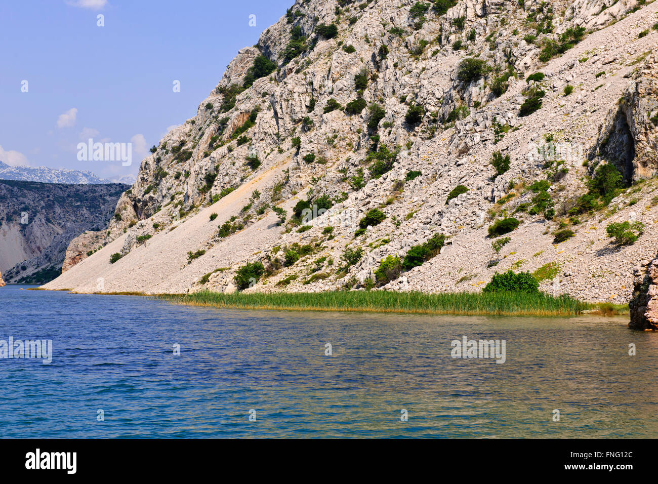 Novigrad town,Castle,Towering Zrmanja Gorge,Dolphins,reed beds,Karst ...