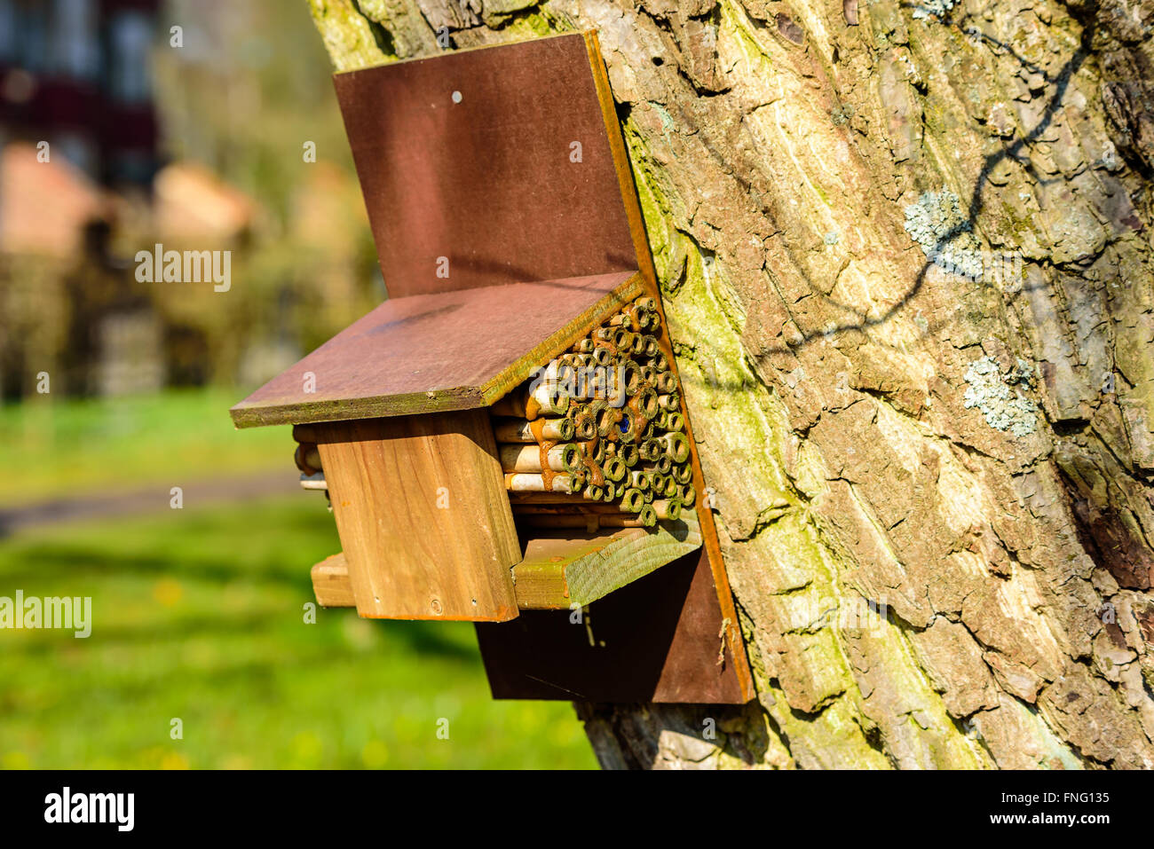 An insect house or hotel attached to a tree trunk. Many insects need ...