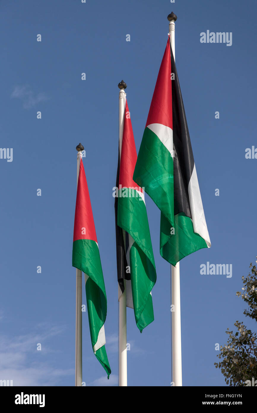 Palestine colors hi-res stock photography and images - Alamy