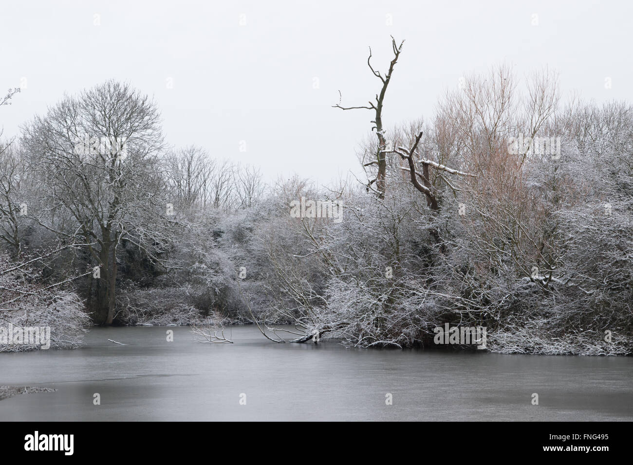 Reclaimed gravel pit after an overnight snowfall, Attenborough Nature ...