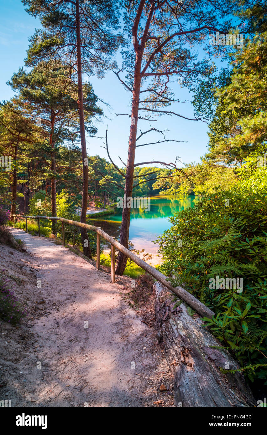 Blue Pool at Furzebrook, Dorset Stock Photo - Alamy