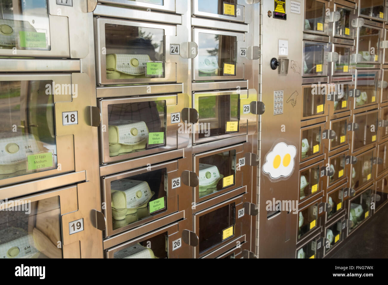 Egg Box Shop, egg vending machine Stock Photo - Alamy