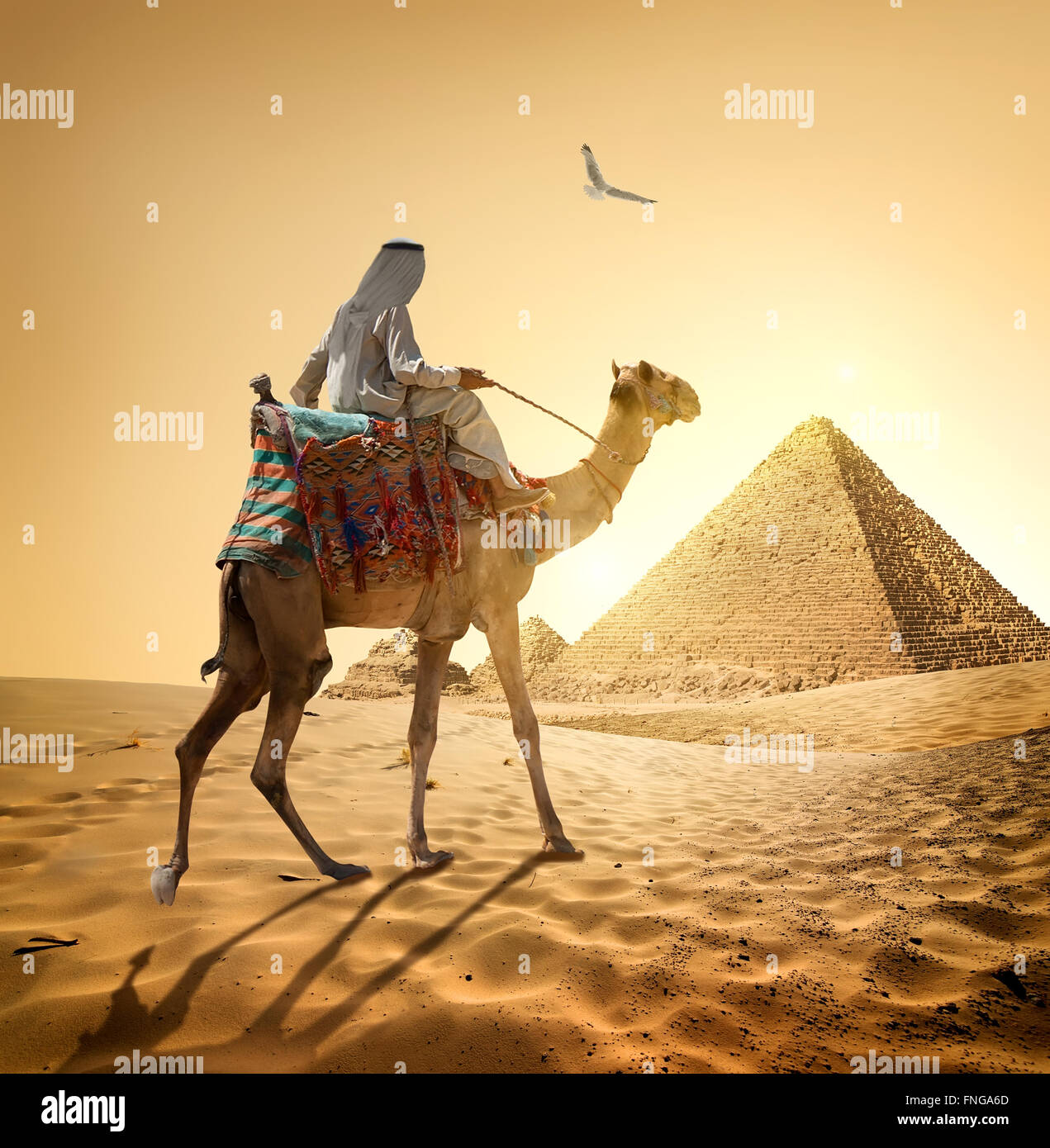 Bedouin and bird near pyramids in desert Stock Photo - Alamy