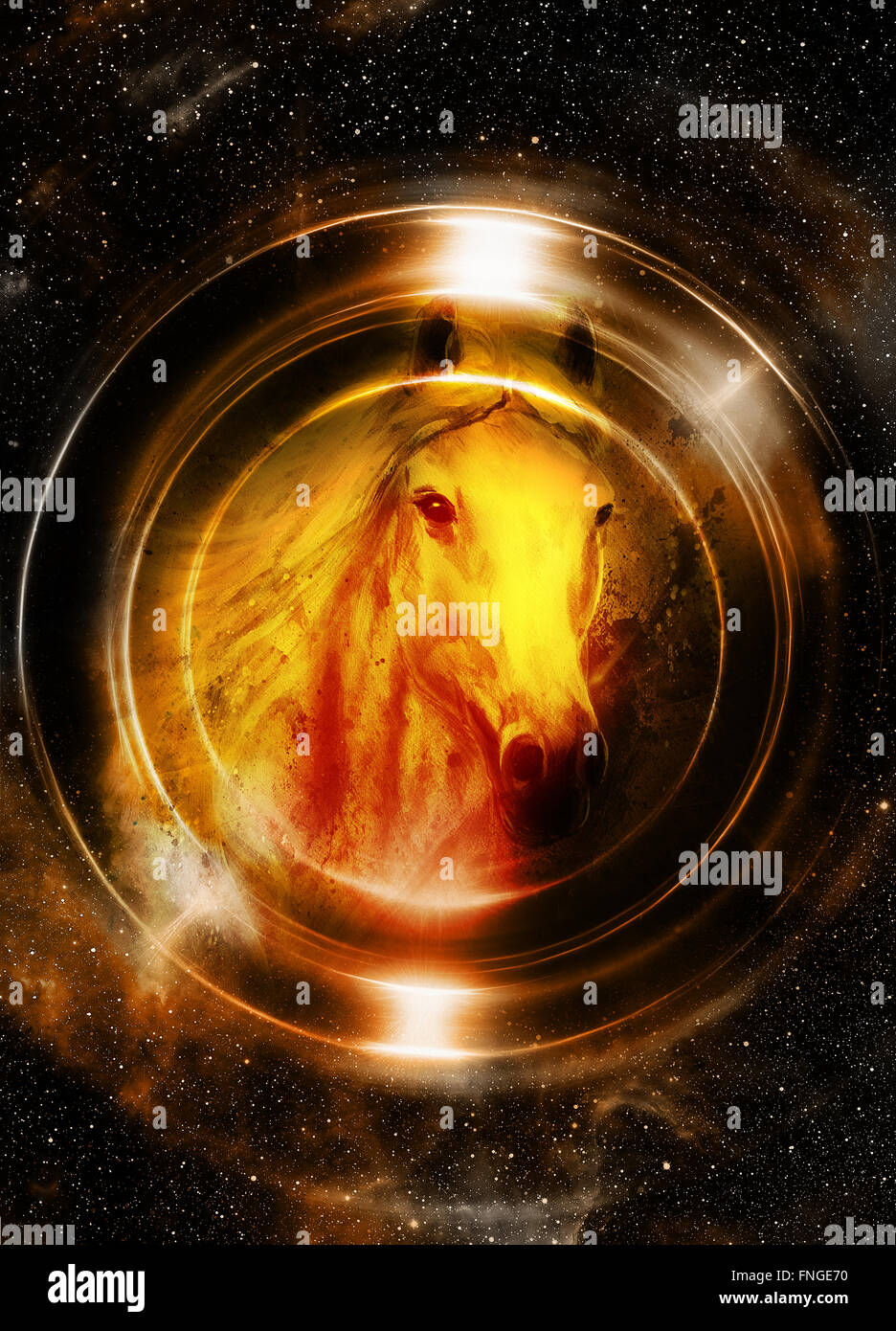 Horse in space, in circle light. Mirror on the planet Earth. Animal ...