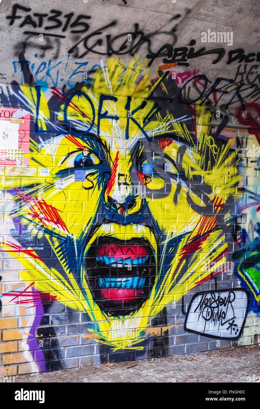 Fierce Yellow face by artist, Monsieur Plume, Street art and graffiti ...